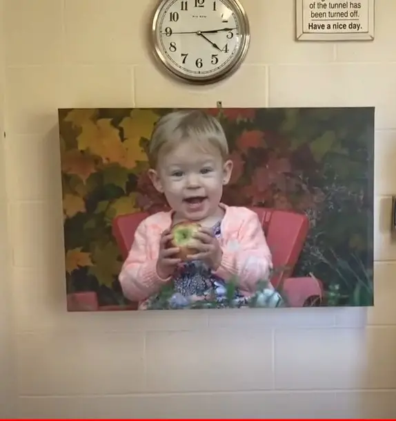 How To Hide A Window Air Conditioner? Camouflaged Comfort | Smart AC ...