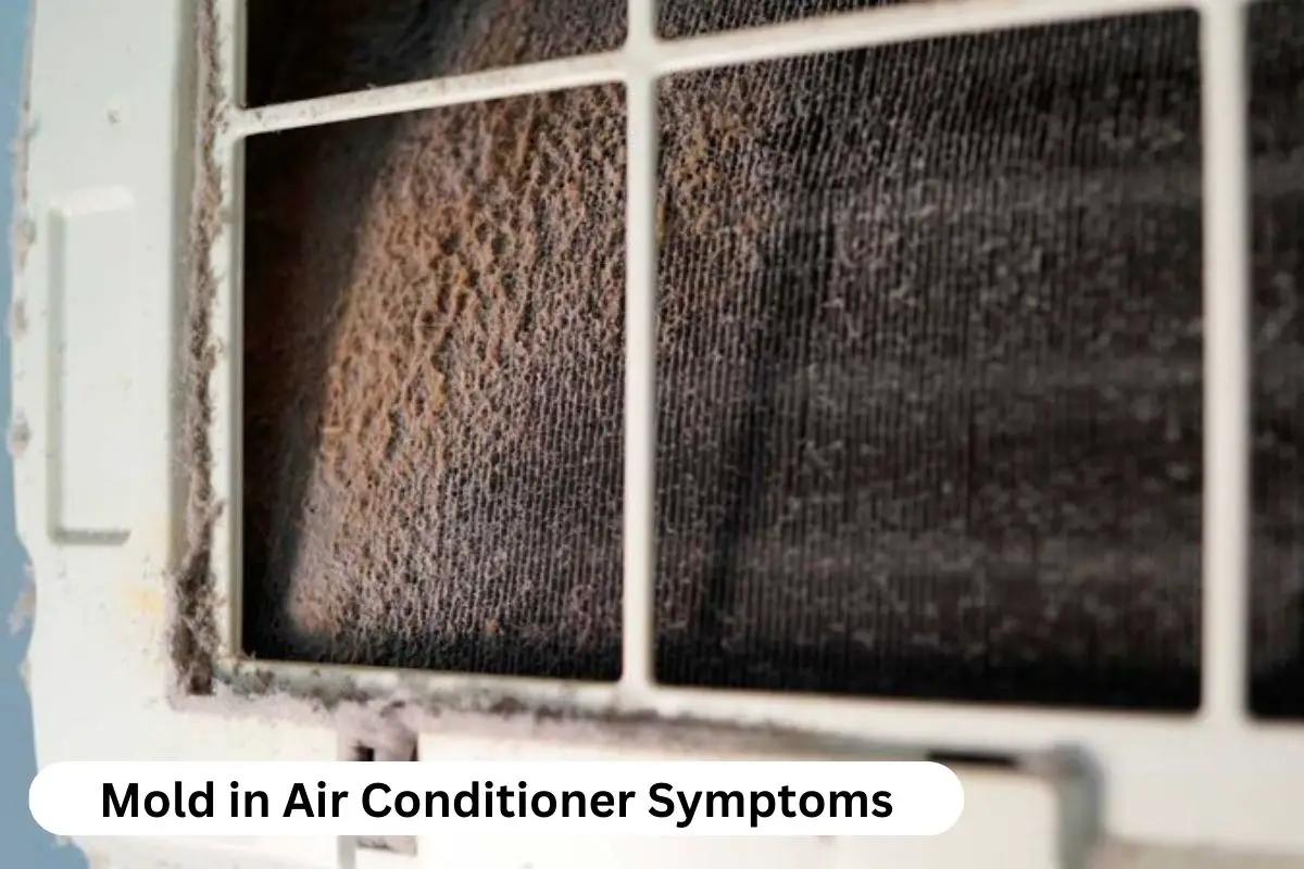 Can A Window Air Conditioner Have Mold? | Smart AC Solutions