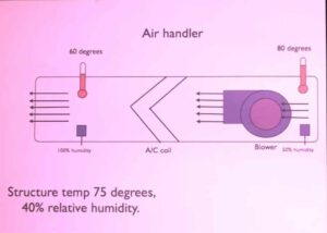 Do Window AC Units Remove Humidity? The Secret To Know